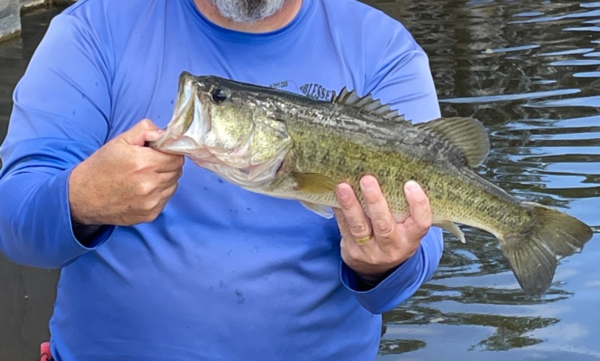 Bass Fishing: A Tale of Turtles and Gar – Captain Mike's Treasure Coast ...