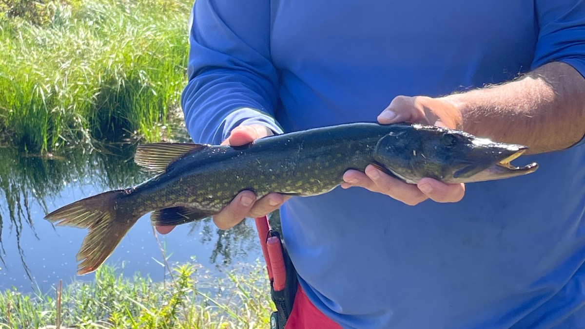 Sunday Afternoon Fishing Adventure With Tania! – Captain Mike's ...